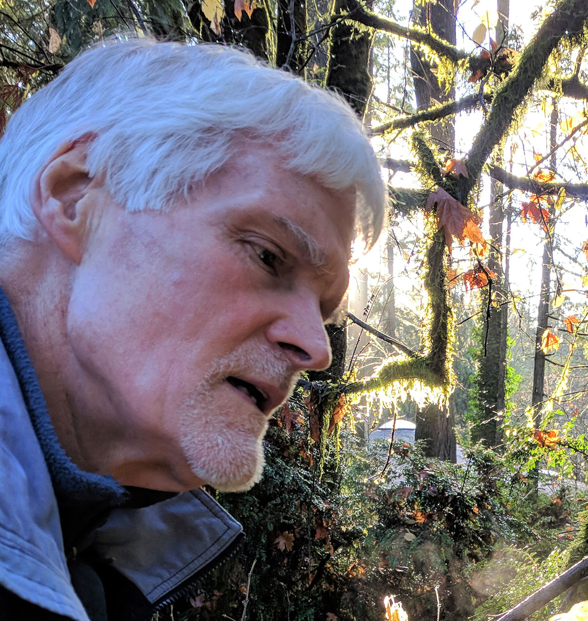 David Stallings | Up The River